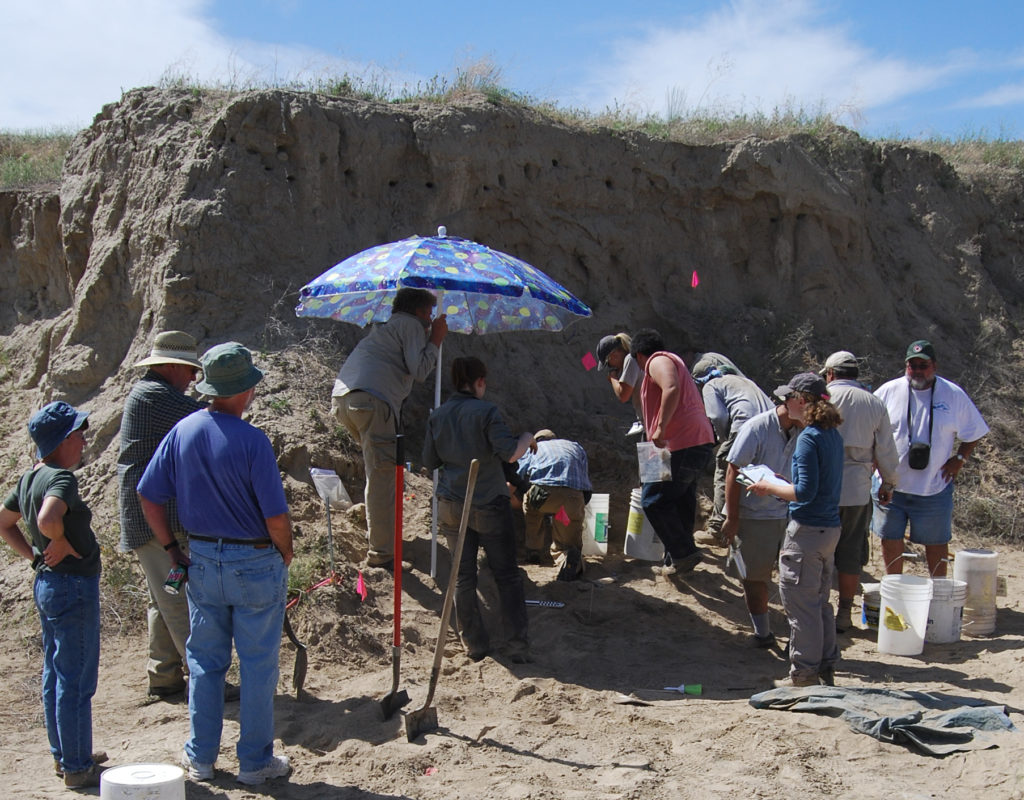 The Coyote Canyon Mammoth Dig - REACH Museum