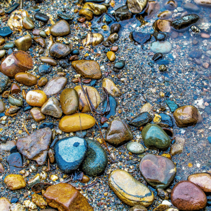 Geologic Past: Tri-Cities Rocks - REACH Museum