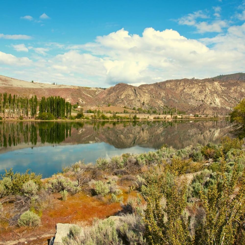Shrub-steppe Ecosystems - REACH Museum