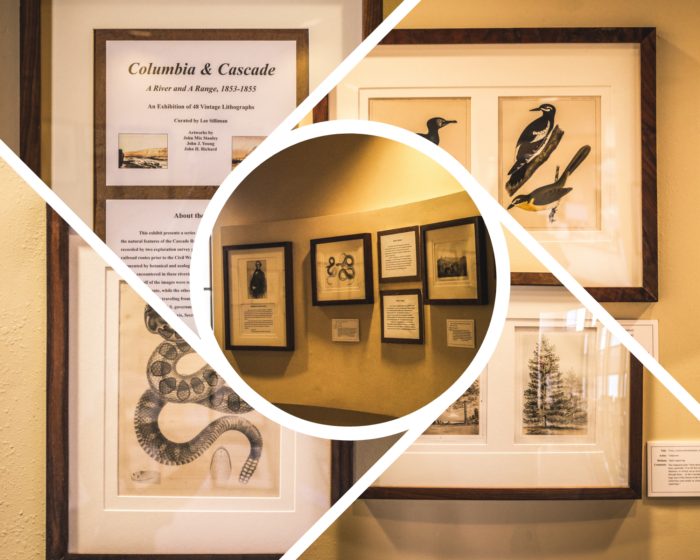 Previous Rotating Exhibits - REACH Museum