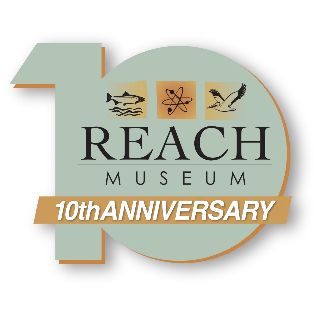 10th Anniversary Free Day - REACH Museum